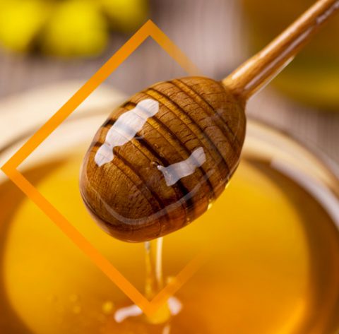 Centres Antipoison - Association des centres antipoison et de ...